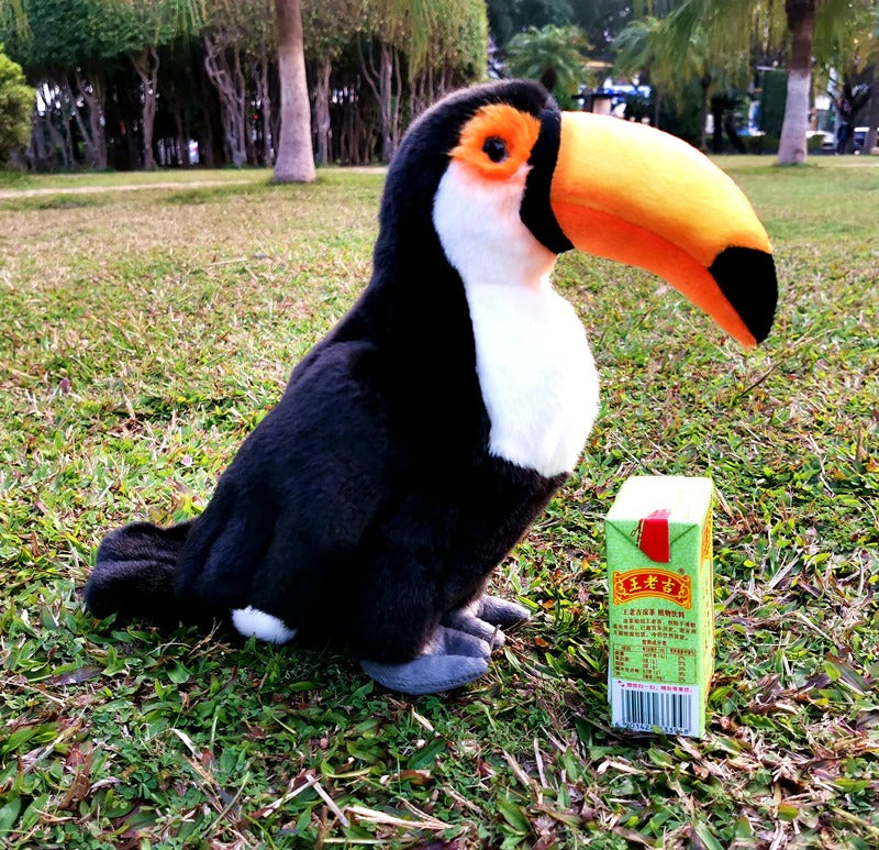 Toucan Plush | Cute Toucan Stuffed Animal 30 CM Soft Toy – chawchara